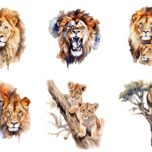Watercolor African Lion Clipart, These Stunning Wildlife Images Are for ...