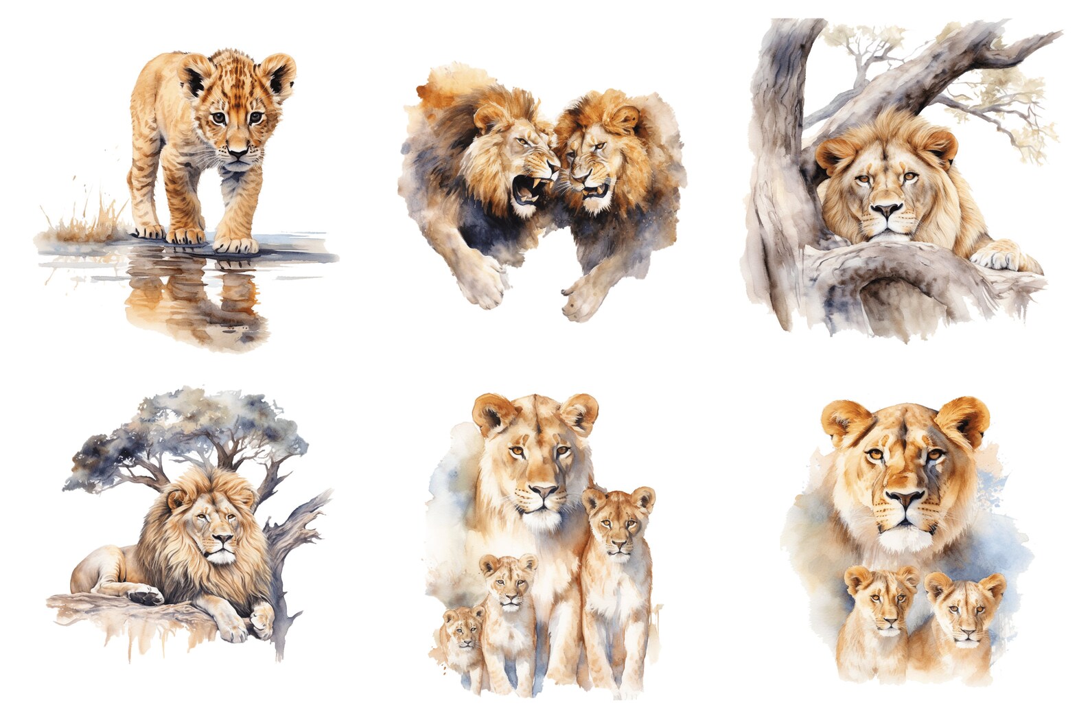 Watercolor African Lion Clipart, These Stunning Wildlife Images Are for ...