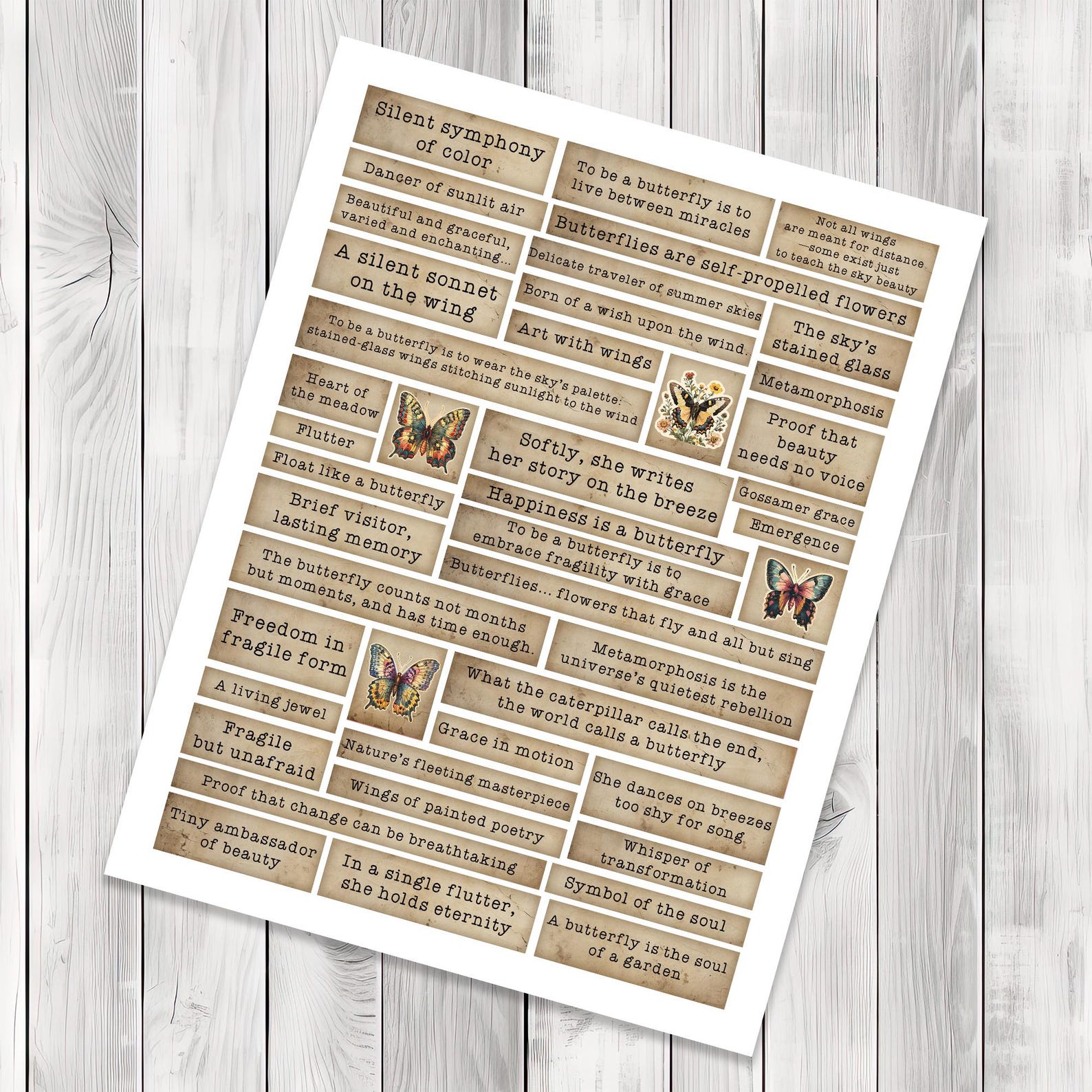 Classic Butterfly Journal Word Strips - Word Strips | Ephemera Labels ...