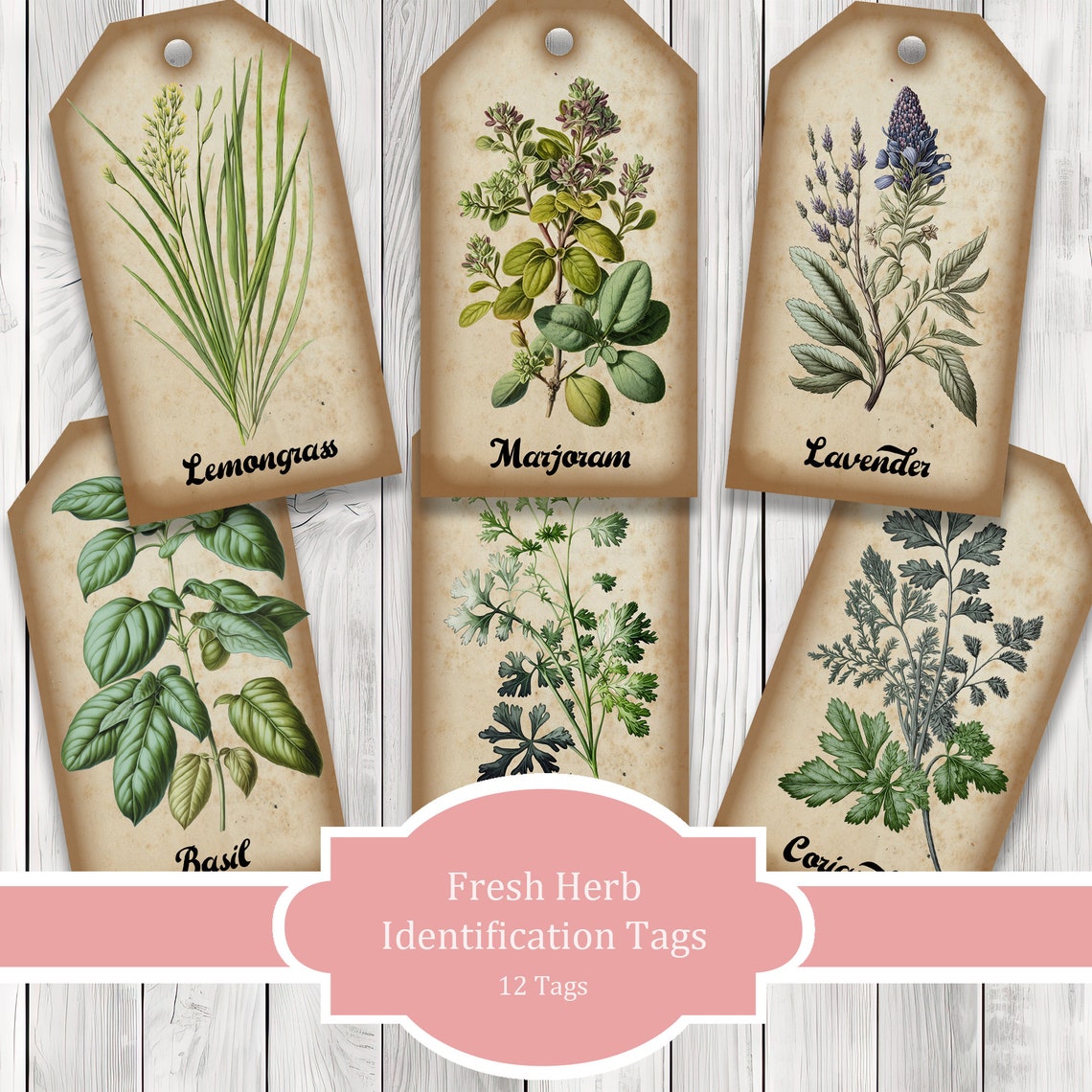Fresh Herb Identification Journal Tags - Collage Scrapbook - Forest ...