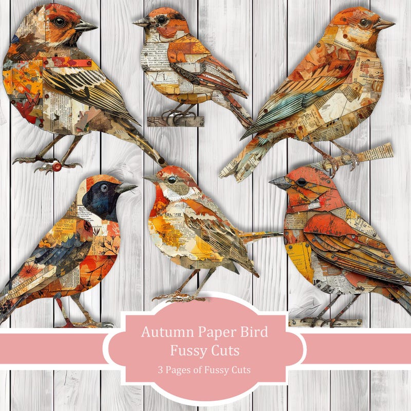 Bird Theme Party - Etsy