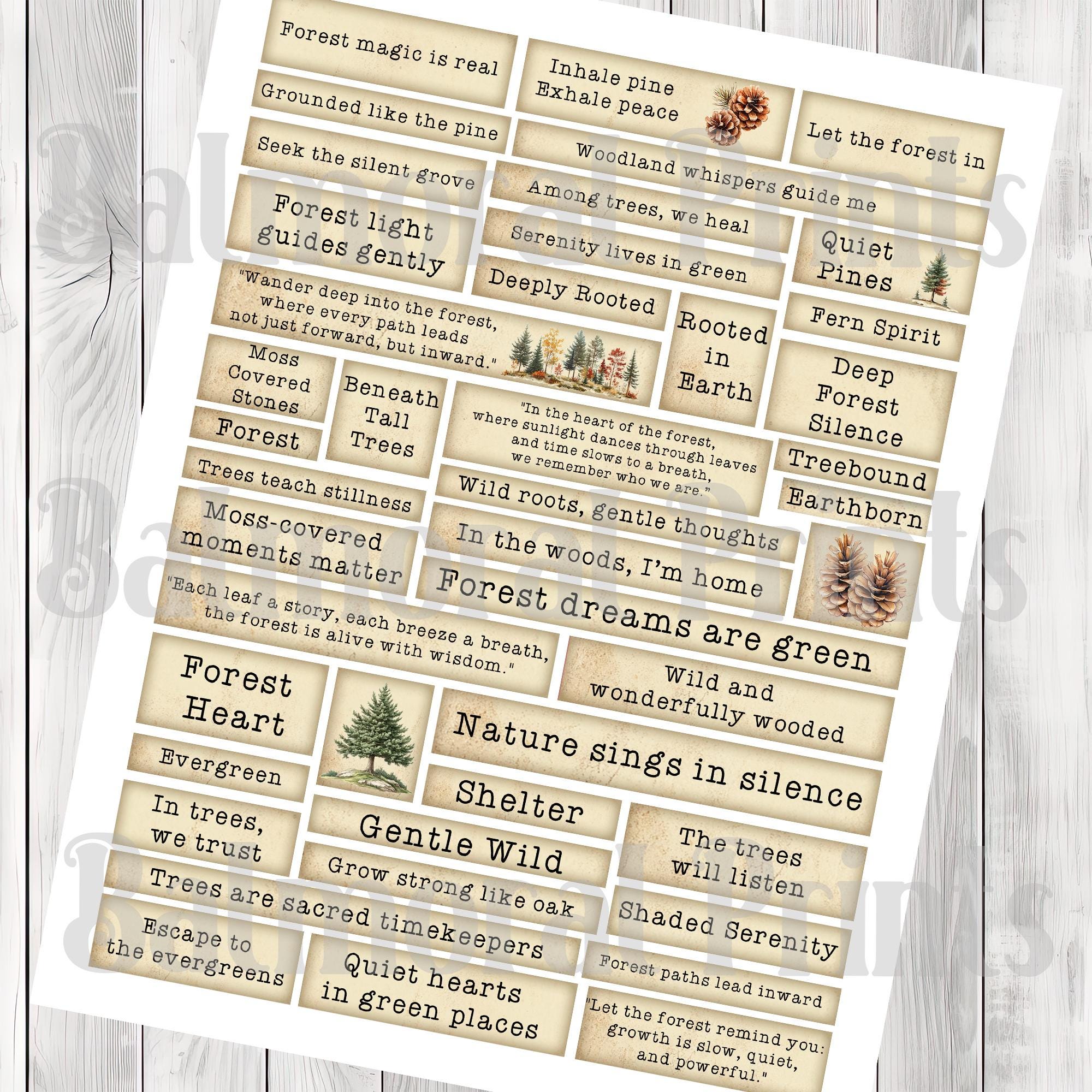 Forest Inspirational Journal Word Strips - Word Strips | Ephemera ...