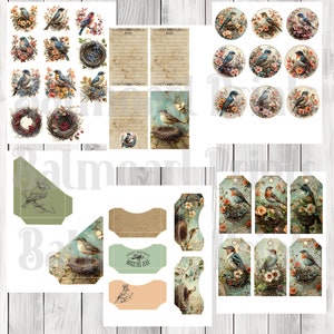 Vintage Bird Pocket Journal Kit, Junk Journal Kit, Journal Pages ...