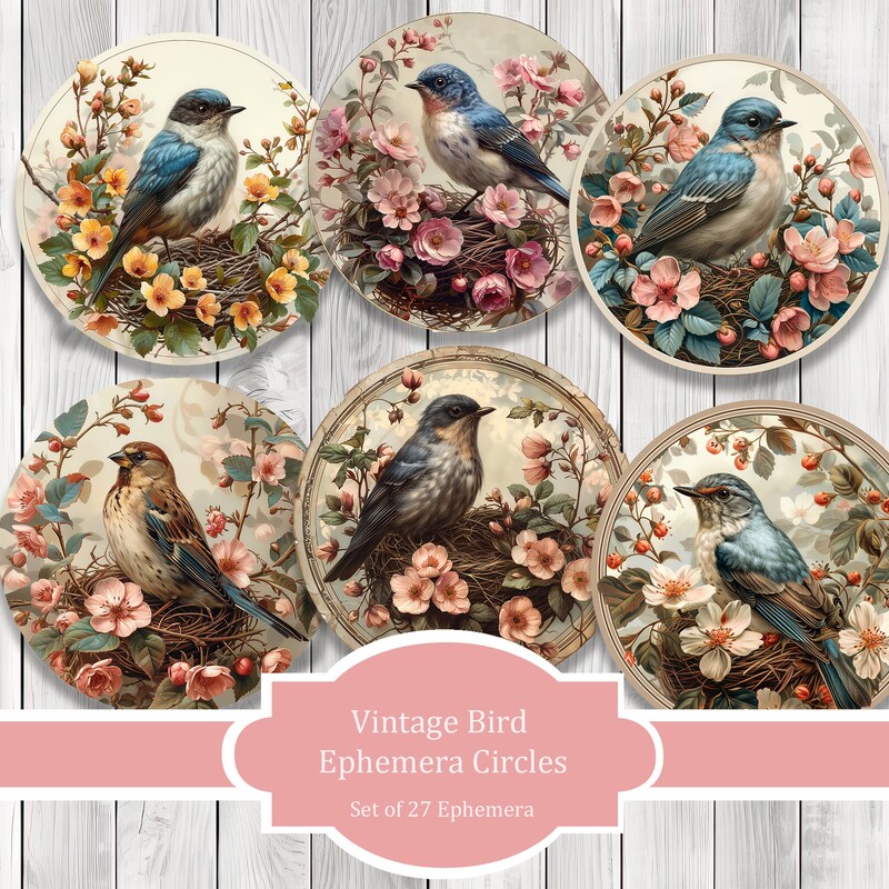 Circle Birds - Etsy