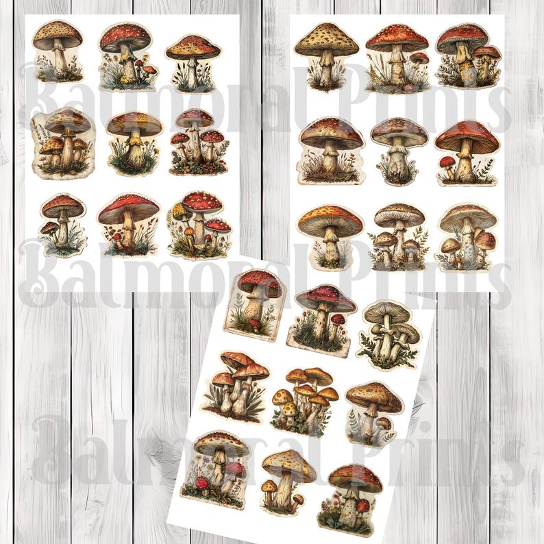 Vintage Mushroom Fussy Cuts, Woodland Mushroom Ephemera, Botanical ...