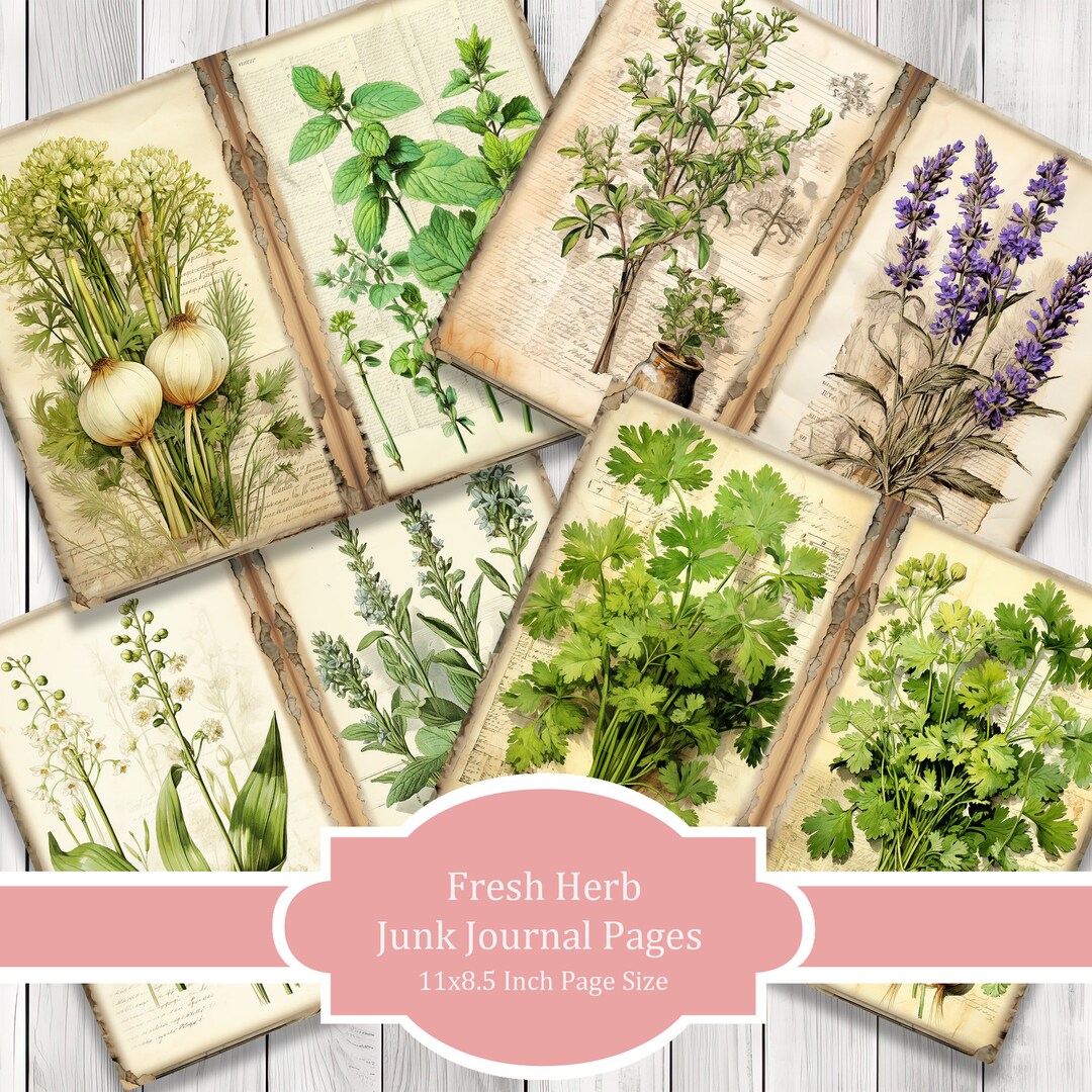 Fresh Herb - Journal Paper Set, Junk Journal Pages, Flower Junk Journal ...