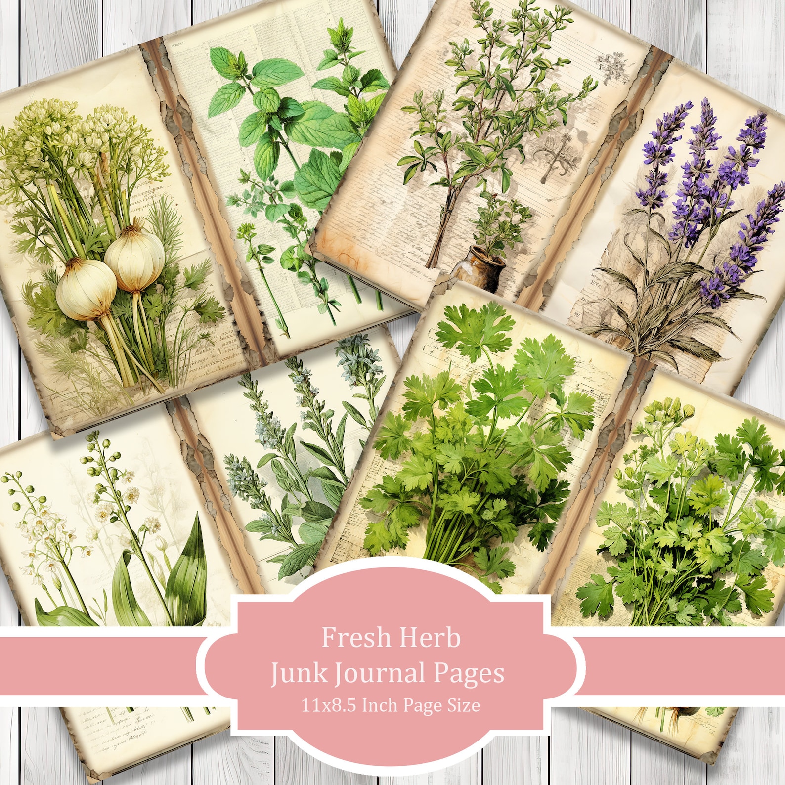 Fresh Herb - Journal Paper Set, Junk Journal Pages, Flower Junk Journal ...