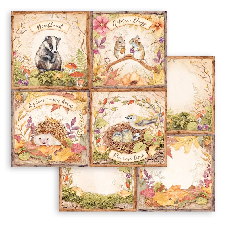 Stamperia 8x8 Scrapbooking Pad Woodland - Etsy