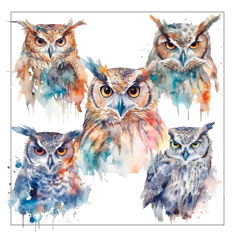 20 Watercolor Owl Clipart Owl PNG Cute Baby Owl Clipart - Etsy