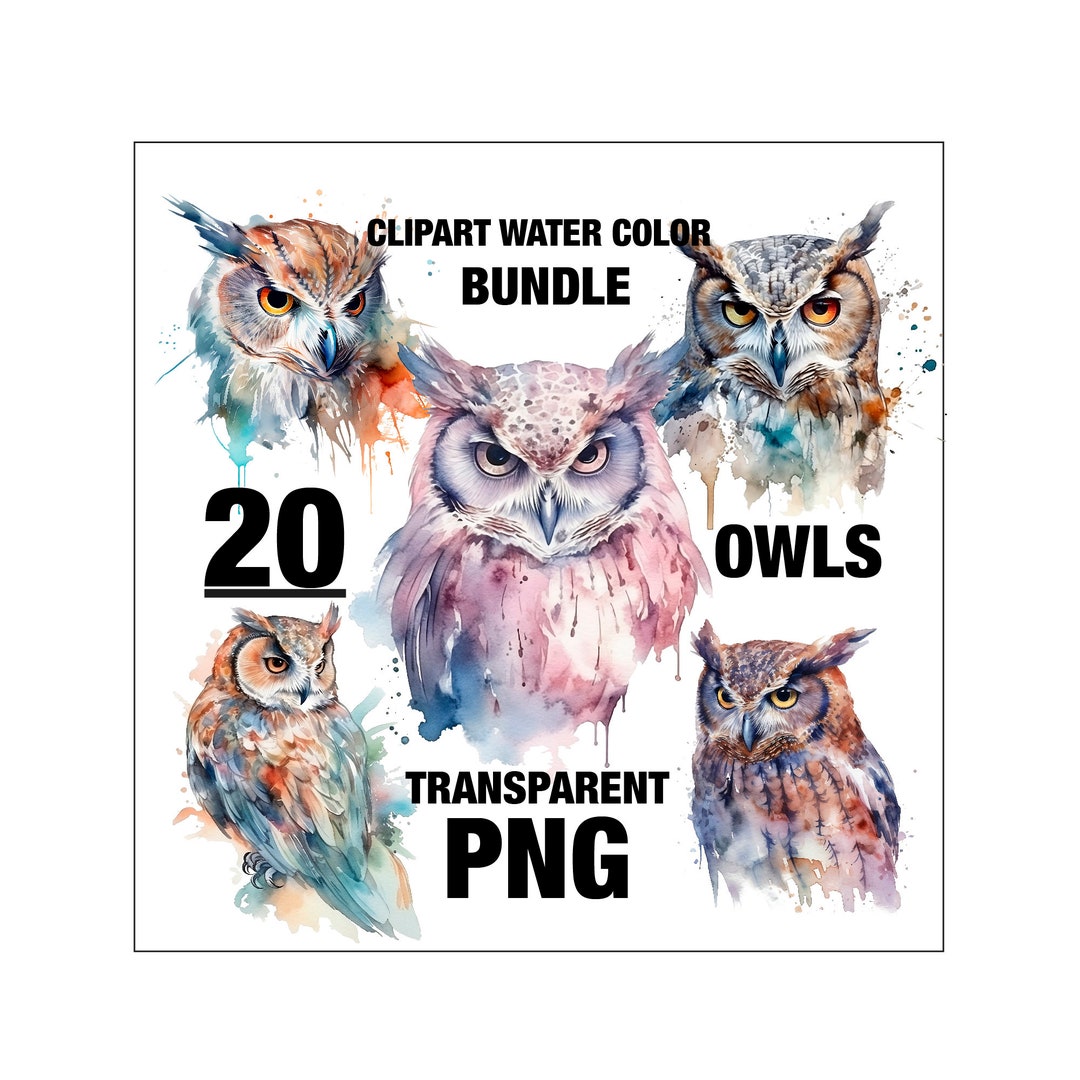 20 Watercolor Owl Clipart, Owl PNG, Cute Baby Owl Clipart, Woodland Animal, Nursery Clipart ...