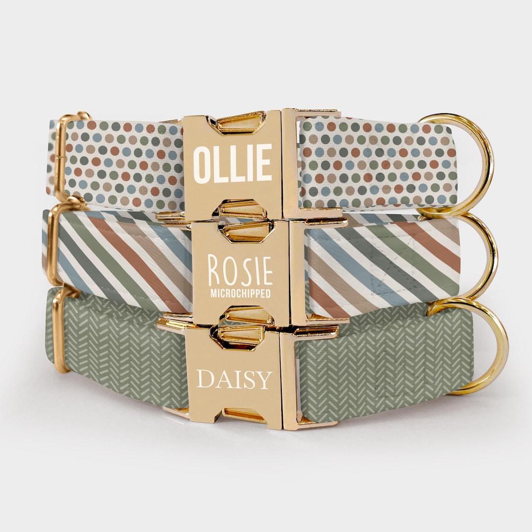 Neutral Dog Collar and Leash – Personalized Pet Collar With Custom Name ...