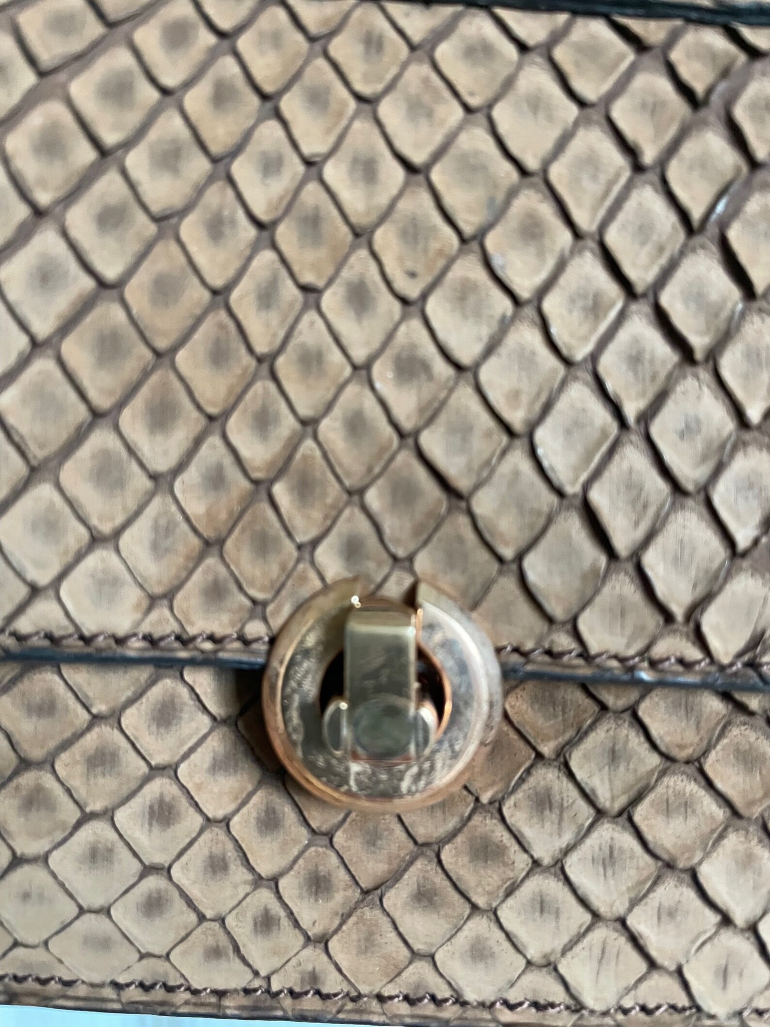 Vintage Loewe 1950's Python Satchel With Matching Coin Purse - Mint ...