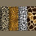 Animal Print Skin Digital Scrapbook Paper Backgrounds-seamless Pattern ...