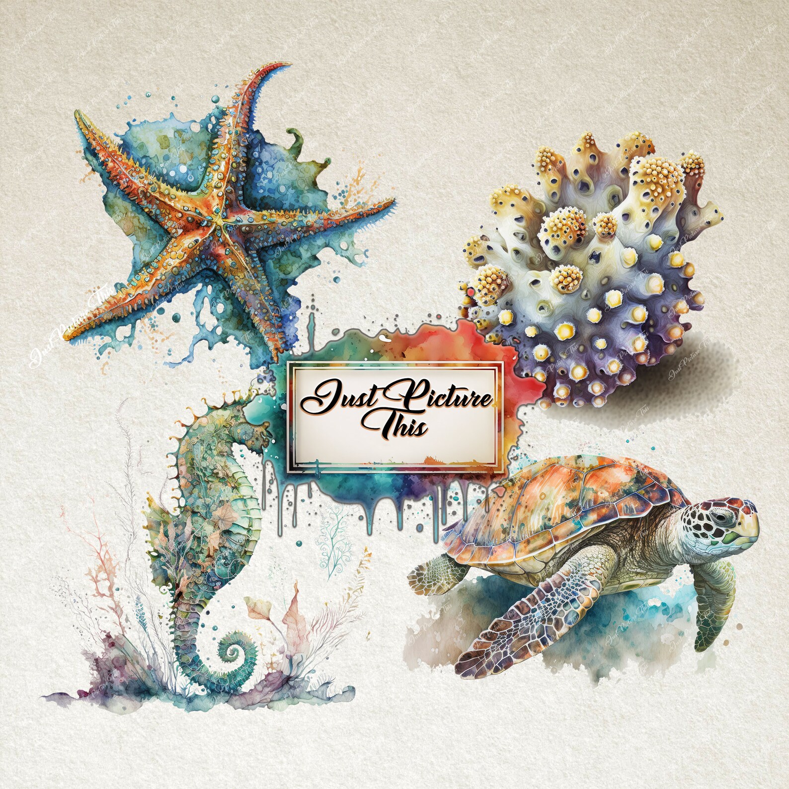 Watercolour Sea Creatures Clipart Bundle Beautiful Animal - Etsy