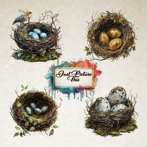 Birds Nest With Eggs Clipart Bundle: Detailed Nest Illustrations for ...