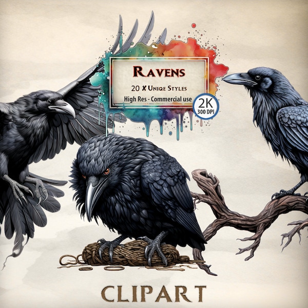 Raven Bird Art - Etsy