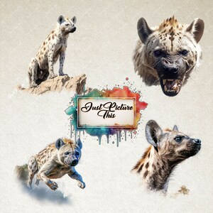 Hyena Clipart Safari Animal Clipart African Wildlife Jungle Safari Zoo ...