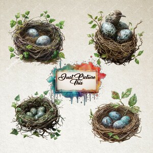 Birds Nest With Eggs Clipart Bundle: Detailed Nest Illustrations for ...
