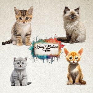 Cat Clipart Cute Kitten Clipart Bundle Cute Animal Watercolor Clipart ...