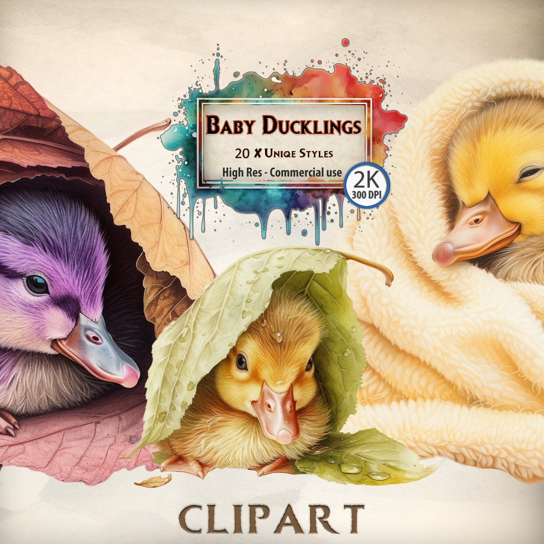 Baby Ducklings Clipart Bundle: Cute Duckling Illustrations for Spring ...
