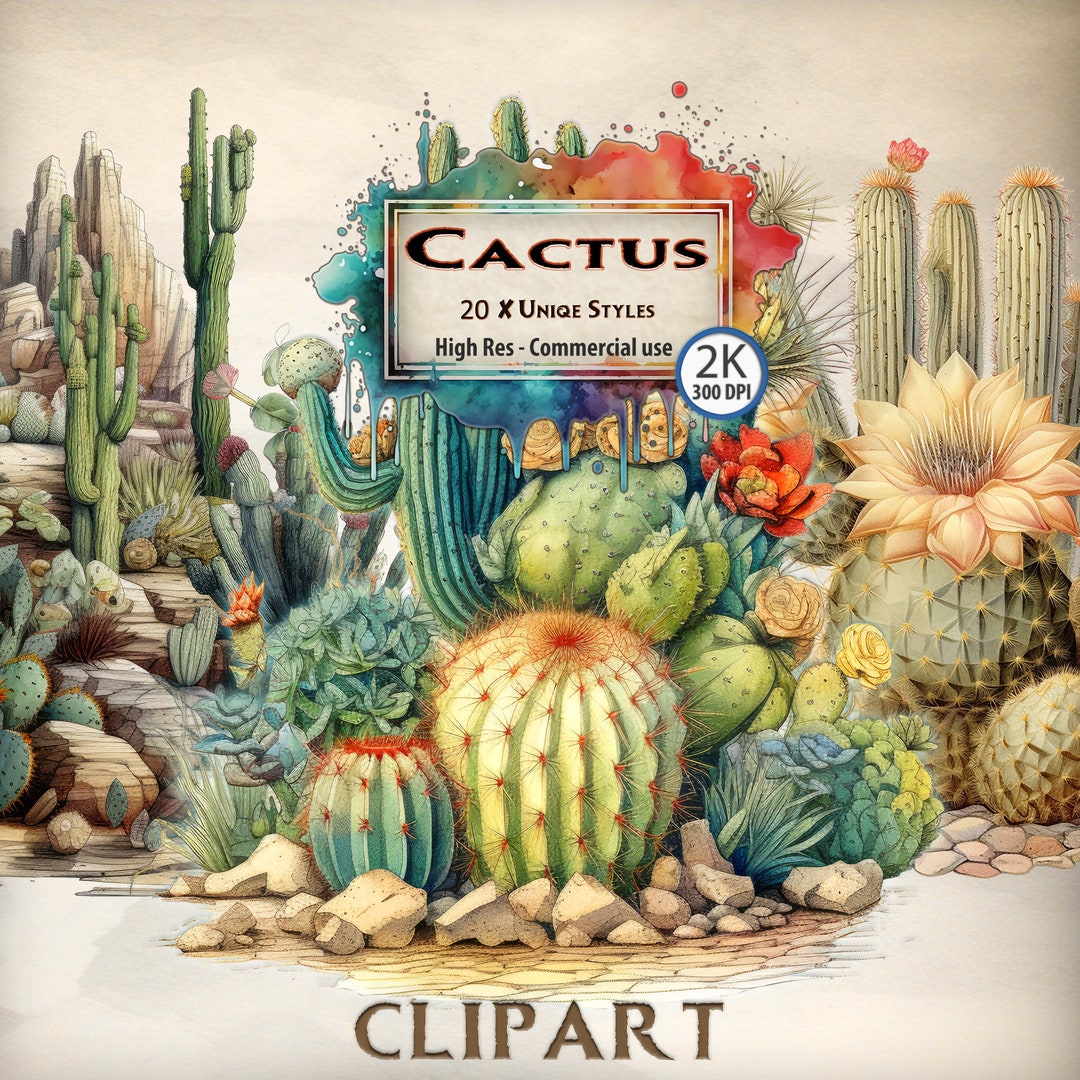 Cactus Clipart Cacti Clipart Bundle Desert Cactus Background Succulent ...