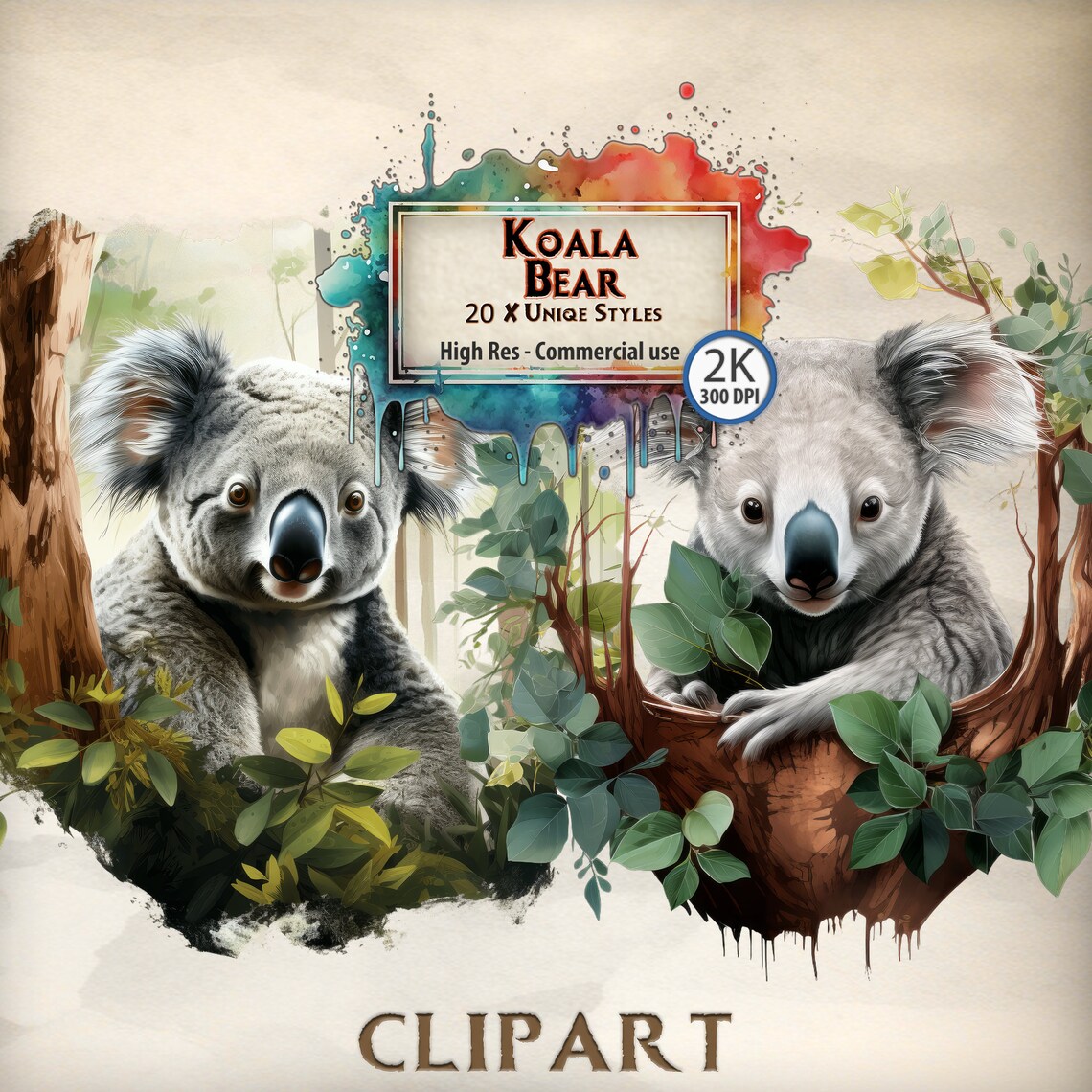 Koala Bear Clipart: Australian Wildlife PNG Graphics (digital Download ...