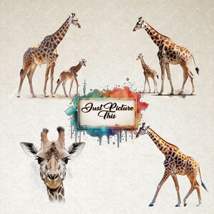 Giraffe Clipart Giraffe Animal Graphics Safari Jungle Wildlife Kingdom ...