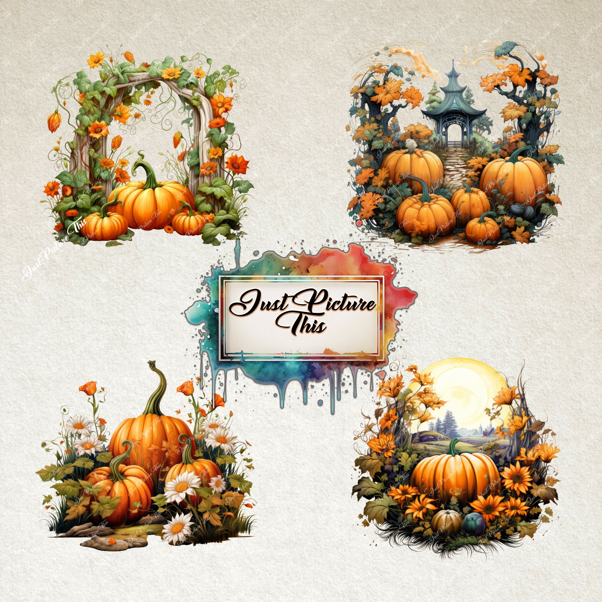 Pumpkin Patch Clipart: Halloween Illustrations (PNG Digital Download ...