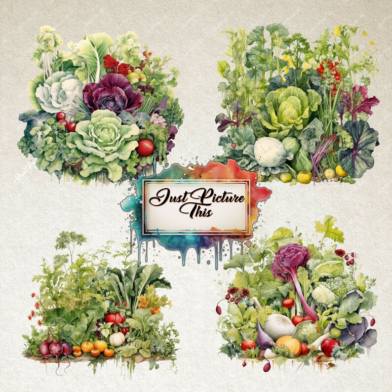 Vegetable Clipart Gardening Clipart Bundle Cottagecore Garden - Etsy