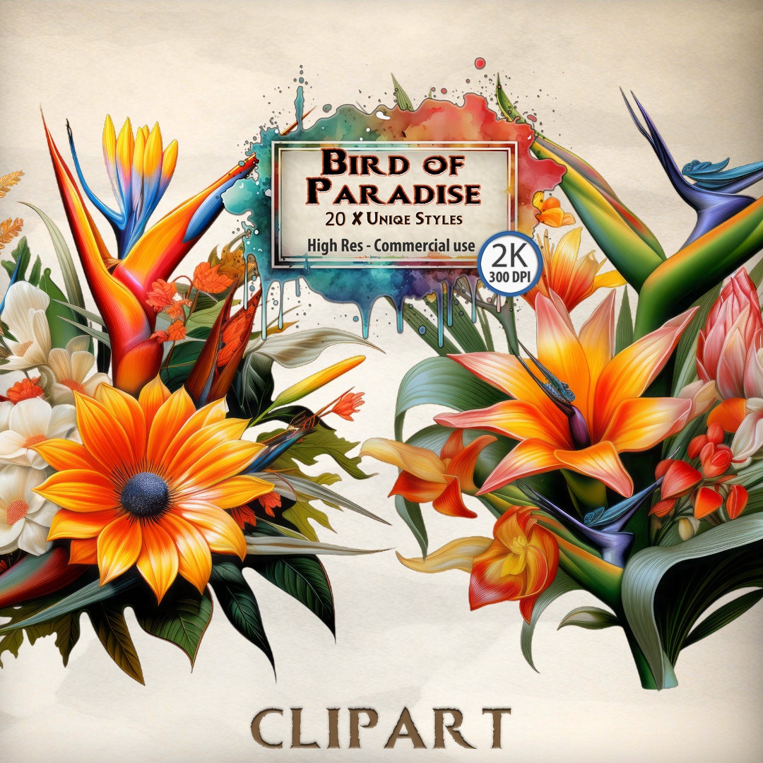 Bird of Paradise Clipart Exotic Flower Graphic Design Elements Floral ...