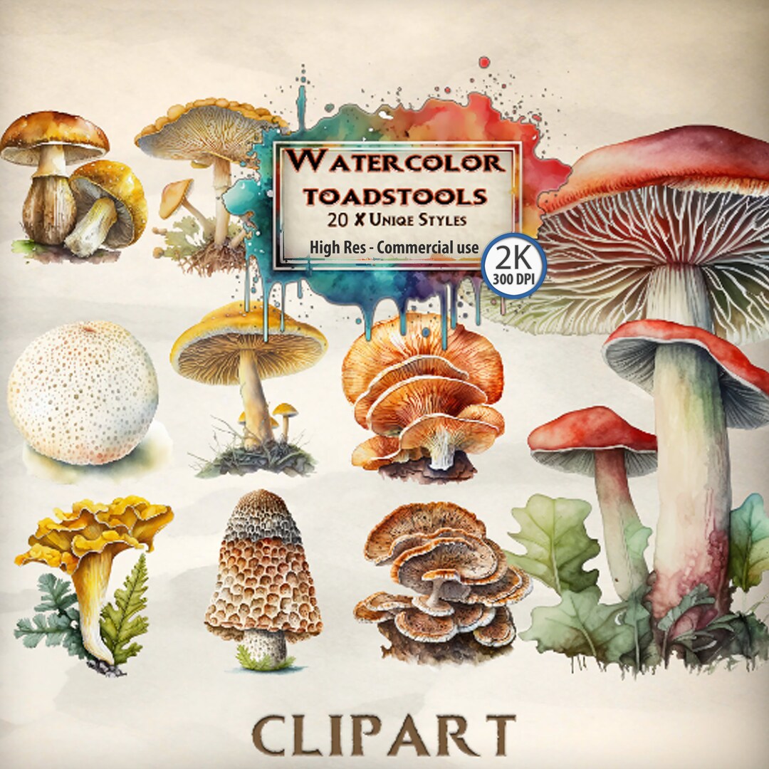 Mushroom and Toadstools Clipart Watercolor Clipart Bundle Garden Forest ...
