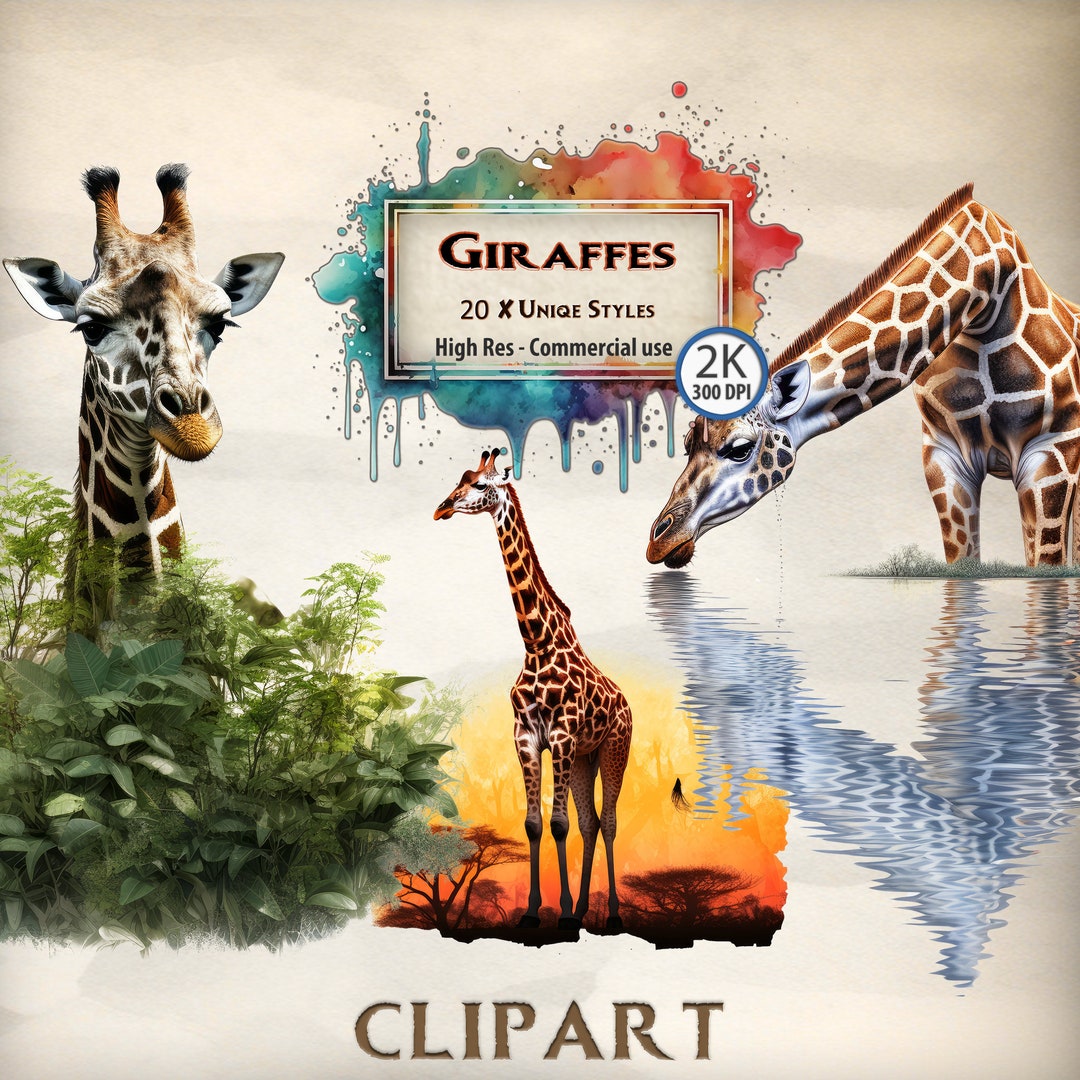 Giraffe Clipart Giraffe Animal Graphics Safari Jungle Wildlife Kingdom ...