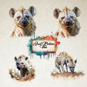 Hyena Clipart Safari Animal Clipart African Wildlife Jungle Safari Zoo ...