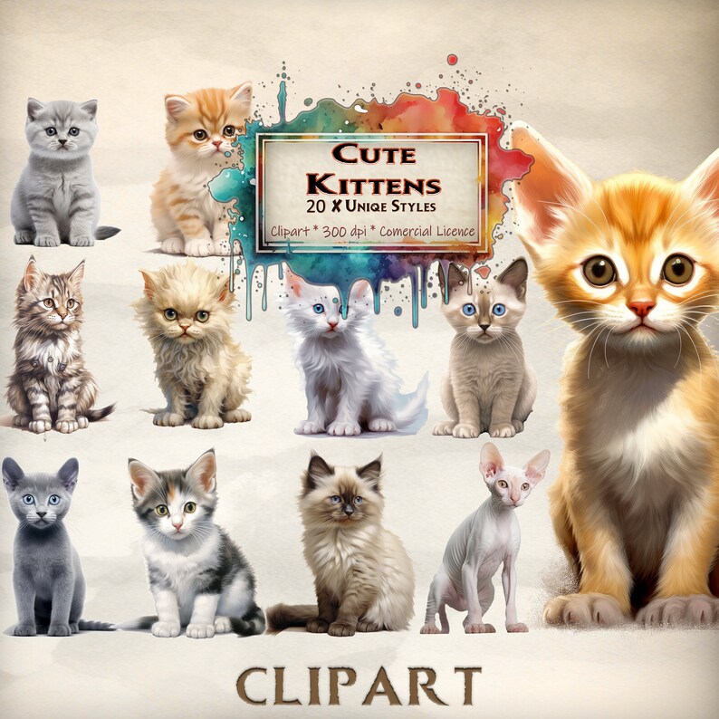 Cat Clipart Cute Kitten Clipart Bundle Cute Animal Watercolor - Etsy