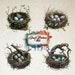 Birds Nest With Eggs Clipart Bundle: Detailed Nest Illustrations for ...