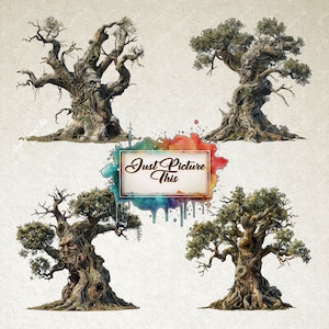 Ancient Trees With Faces Clipart Bundle: Mythical Tree Illustrations ...