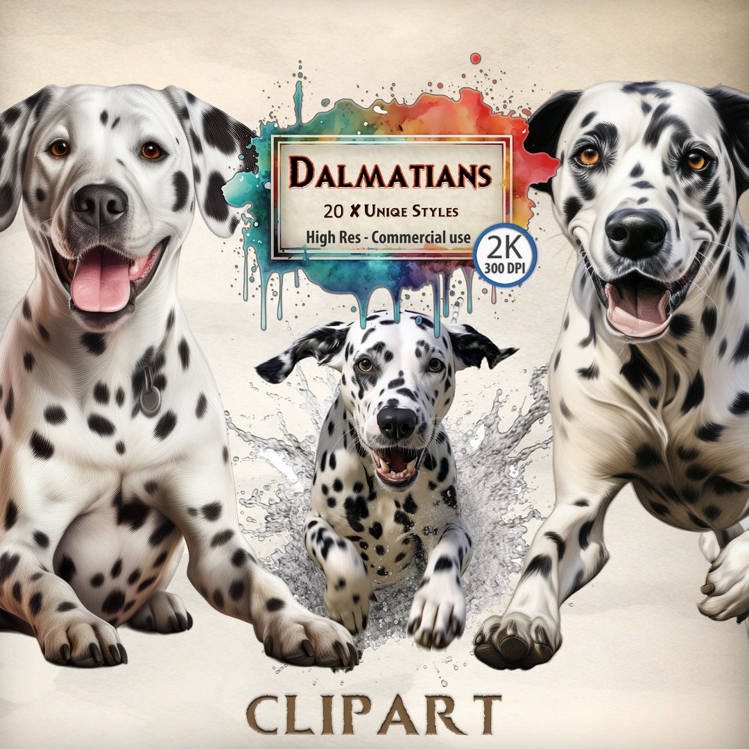 Dalmatian Dog Clipart Bundle for Pet Lovers Cute Small Dalmatian Faces ...