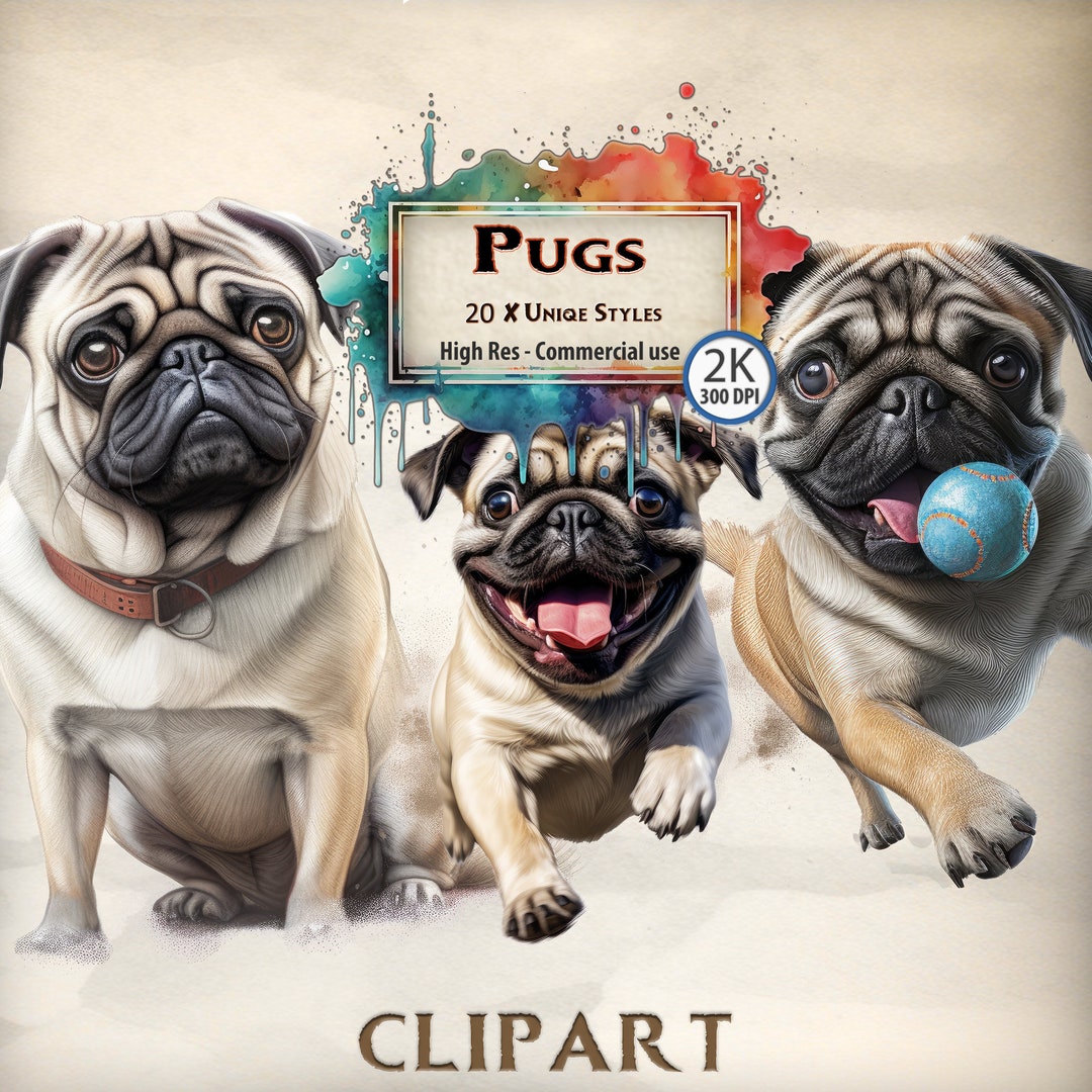 Pug Dog Clipart Adorable Pug Art: Delightful Pug Breed Illustrations ...