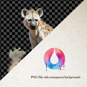 Hyena Clipart Safari Animal Clipart African Wildlife Jungle Safari Zoo ...