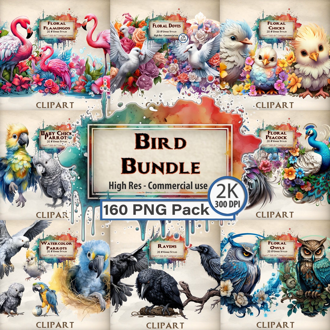 Bird Clipart Bundle Massive Bird PNG Pack Flamingos Doves Chickens Baby ...