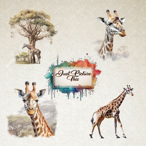 Giraffe Clipart Giraffe Animal Graphics Safari Jungle Wildlife Kingdom ...