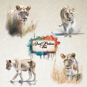 Lion Clipart African Wildlife Kingdom Safari Jungle Adventure ...