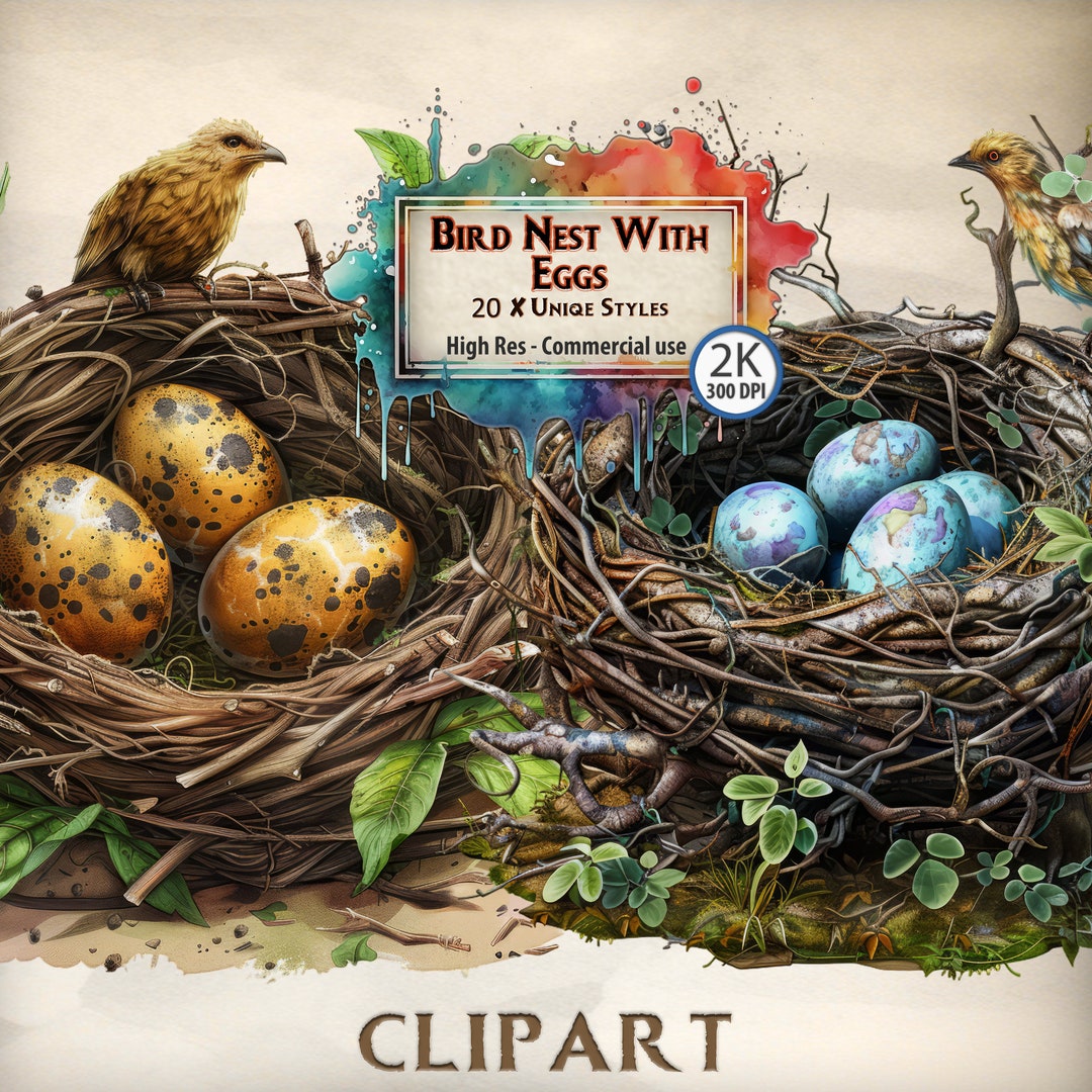 Birds Nest With Eggs Clipart Bundle: Detailed Nest Illustrations for ...