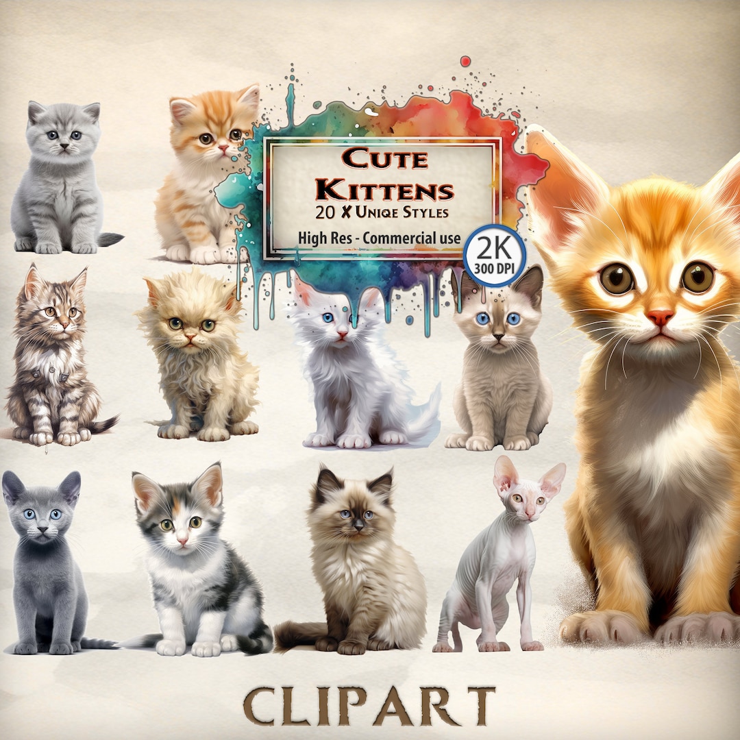 Cat Clipart Cute Kitten Clipart Bundle Cute Animal Watercolor Clipart ...