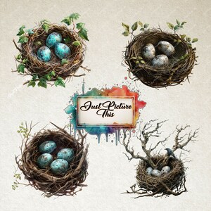Birds Nest With Eggs Clipart Bundle: Detailed Nest Illustrations for ...