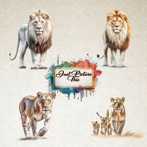 Lion Clipart African Wildlife Kingdom Safari Jungle Adventure ...