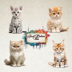 Cat Clipart Cute Kitten Clipart Bundle Cute Animal Watercolor Clipart ...