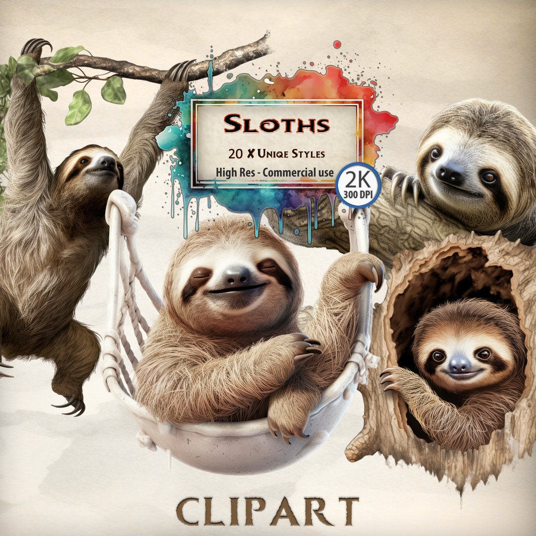 Sloth Clipart Cute Baby Sloth Animal Illustrations for Tree Lazy Nature ...