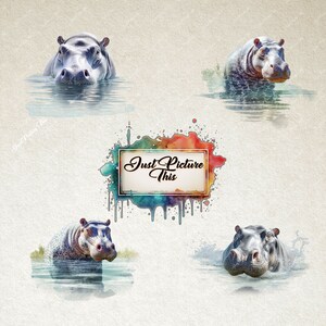 Hippopotamus Clipart Playful Hippo Illustrations and Safari-themed ...