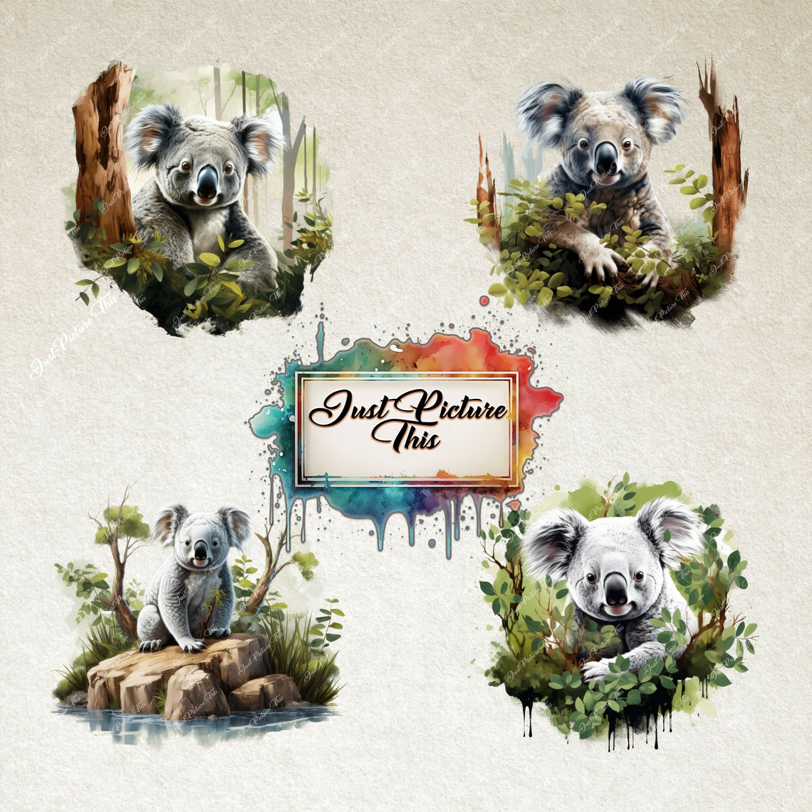 Koala Bear Clipart: Australian Wildlife PNG Graphics (digital Download ...